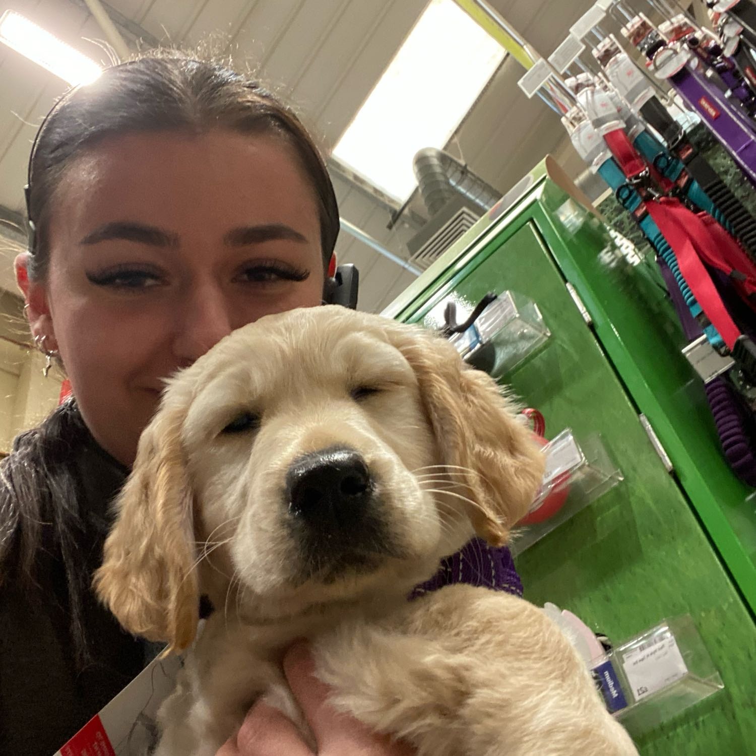 Ellie | Pet sitter in Manchester | Pawshake.co.uk