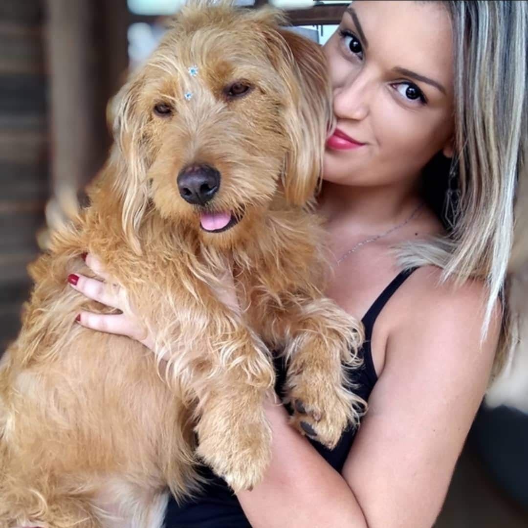 Aline | Pet sitter in Ringsend | Pawshake.ie