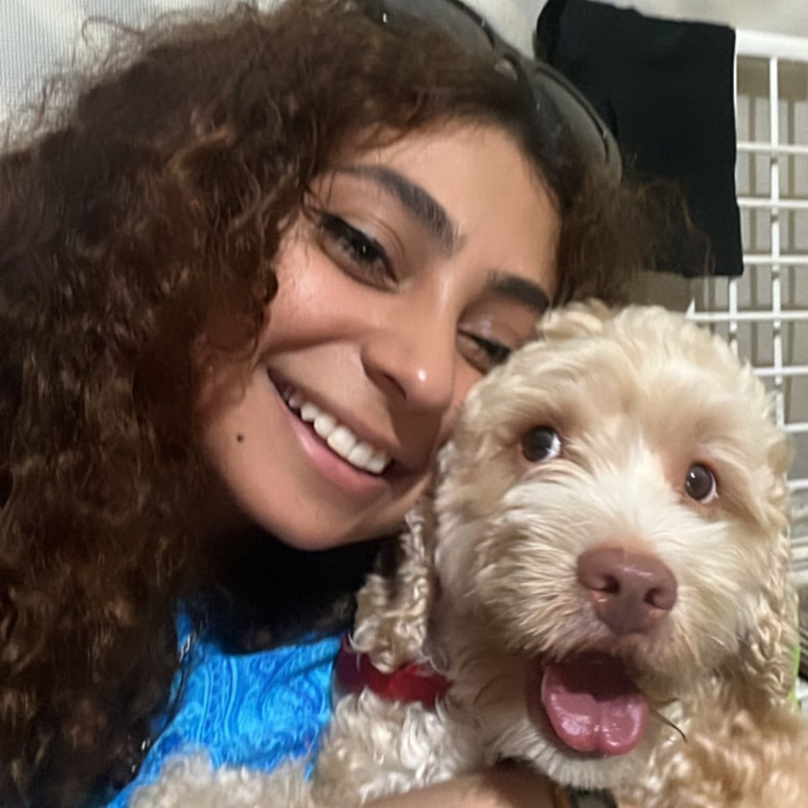 Karin | Pet sitter in West Drayton | Pawshake.co.uk