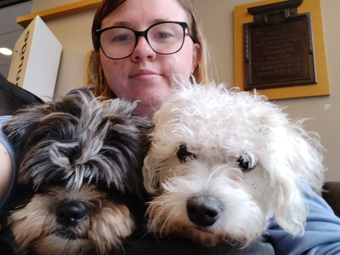 Kaitlin | Pet sitter in Keynsham | Pawshake.co.uk