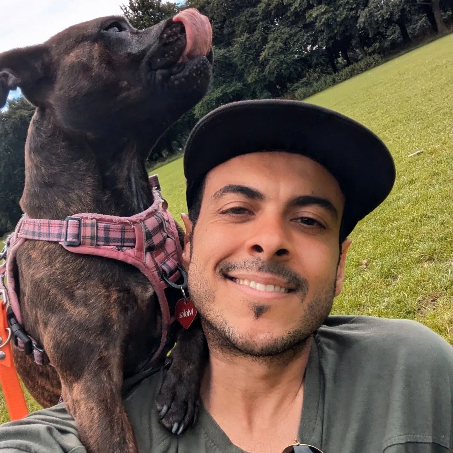 Fabio | Pet sitter in Rathmines | Pawshake.ie